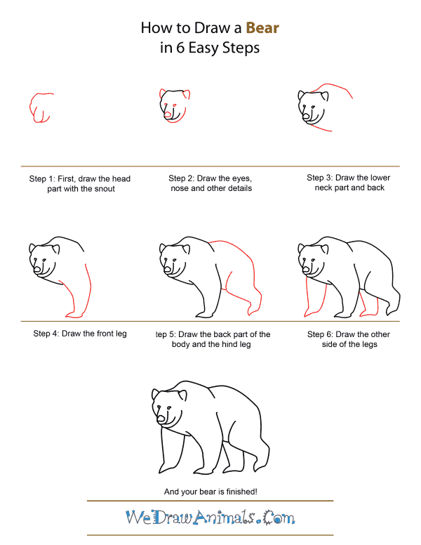 How To Draw A Bear