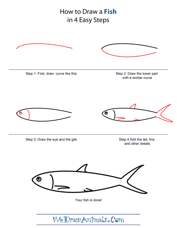 How To Draw A Fish