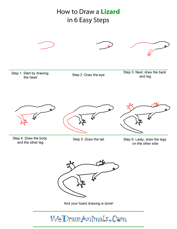 How To Draw A Lizard