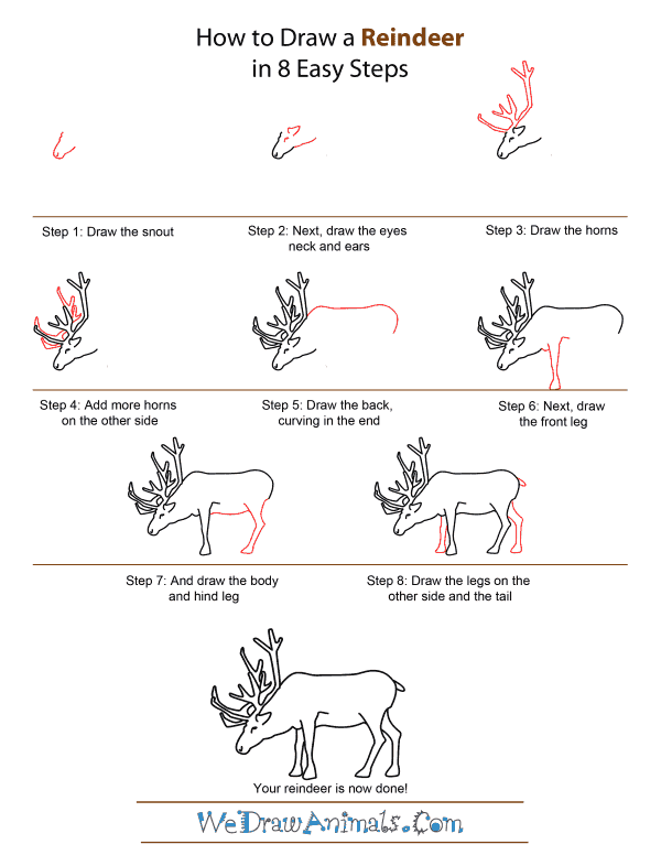How To Draw A Reindeer