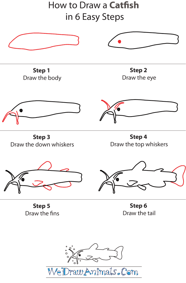 How To Draw A Catfish