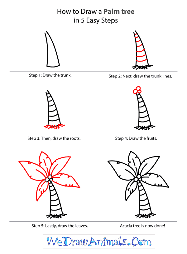 How To Draw A Palm Tree