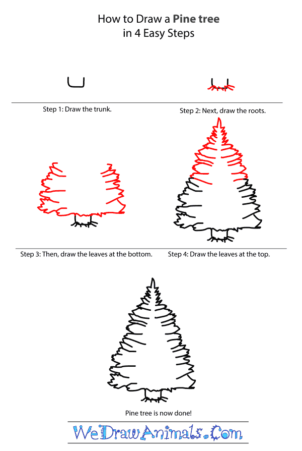 How To Draw A Pine Tree