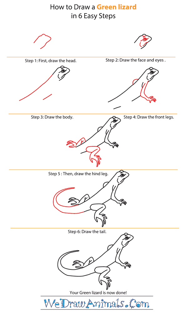 How to Draw a Green Lizard How to Draw a Green Lizard