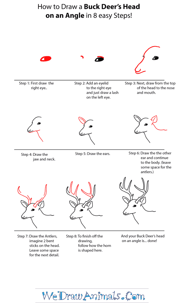How To Draw A Buck Deer Head