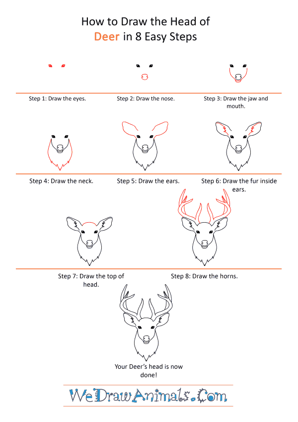 How To Draw A Deer Face