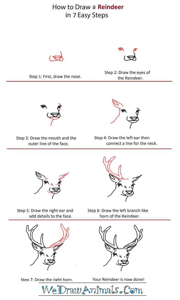 How To Draw A Reindeer Head