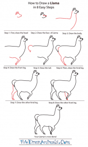 How to Draw a Llama