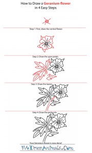 How to Draw a Geranium Flower