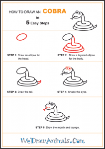 How to Draw a Simple Cobra for Kids
