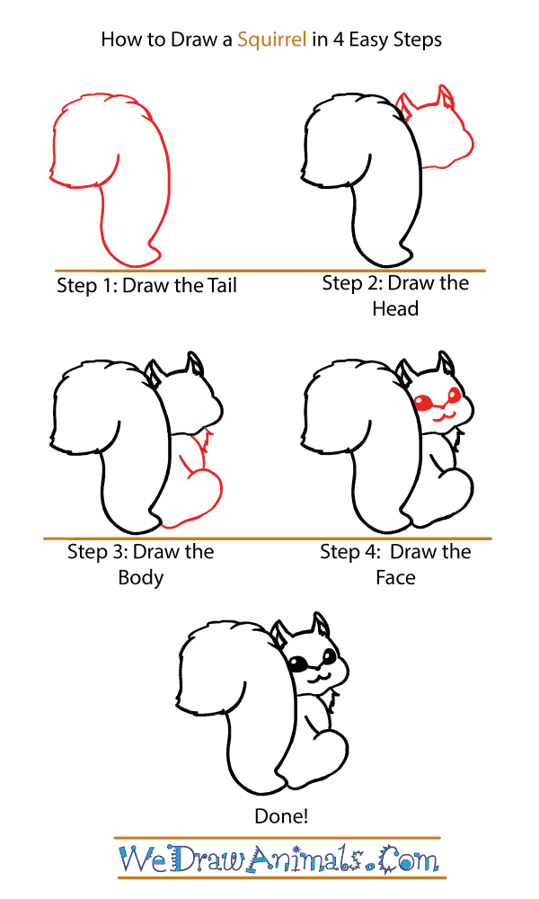 How To Draw A Cute Squirrel