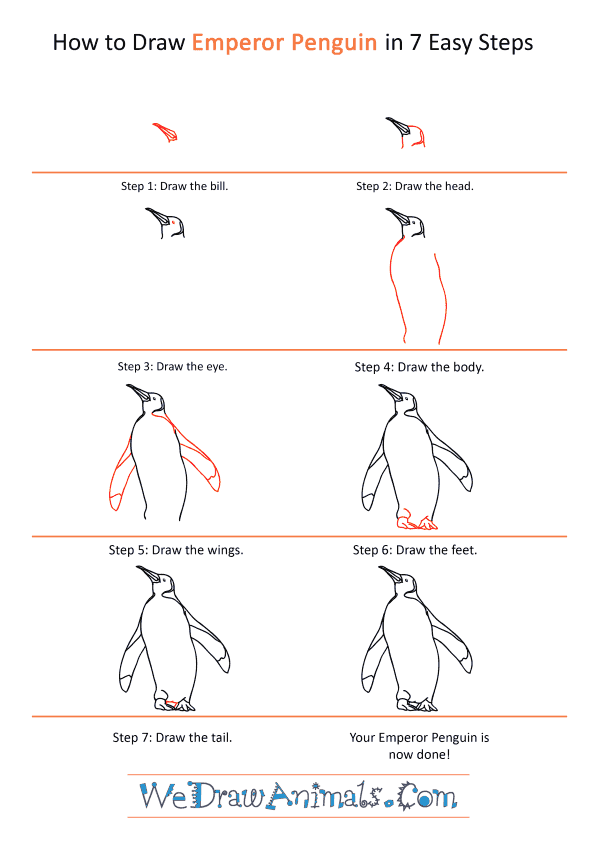 How To Draw A Realistic Emperor Penguin