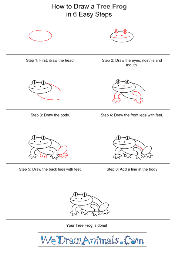 How To Draw Tree Frog